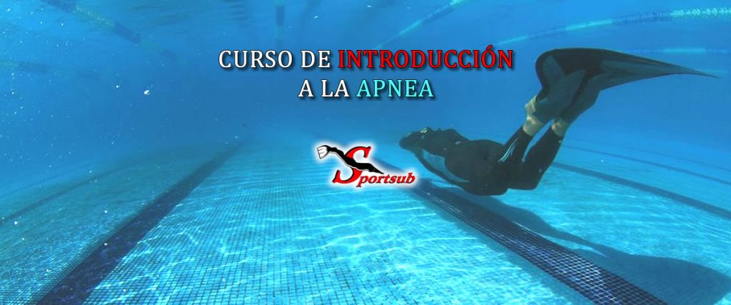 Curso de Introduccion a la Apnea Nivel 1 Sportsub – Sportsub